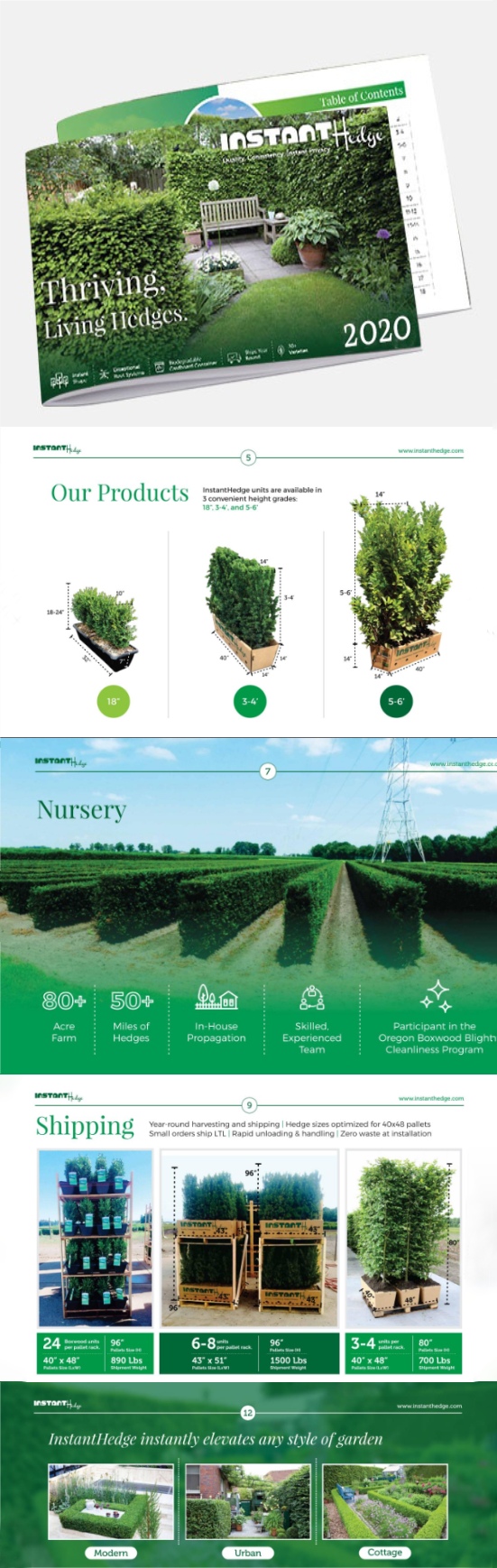 Hedging Plants for Sale | Best Garden Hedges | Beech, Arborvitae