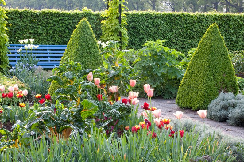 Country Garden Ideas | Country Style Gardens | InstantHedge