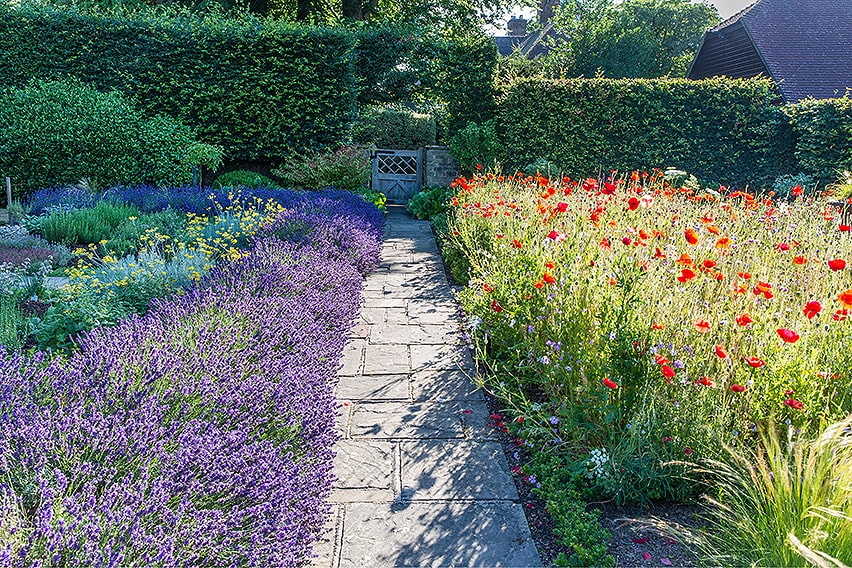 Country Garden Ideas | Country Style Gardens | InstantHedge