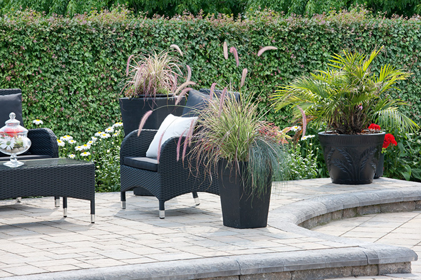 Suburban Gardens and Landscaping Ideas with Hedges at InstantHedge