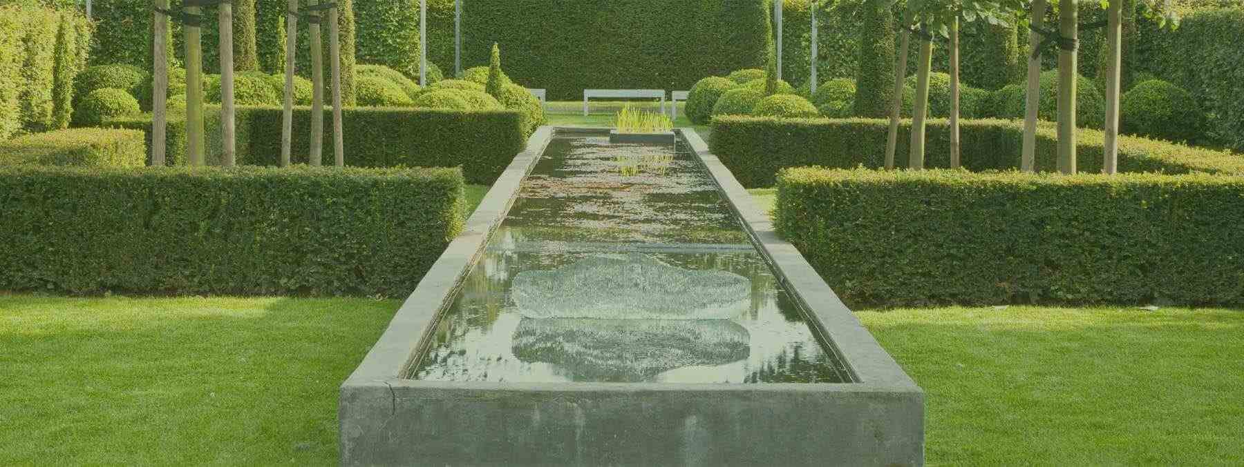 Hedging Plants for Sale | Best Garden Hedges | Beech, Arborvitae