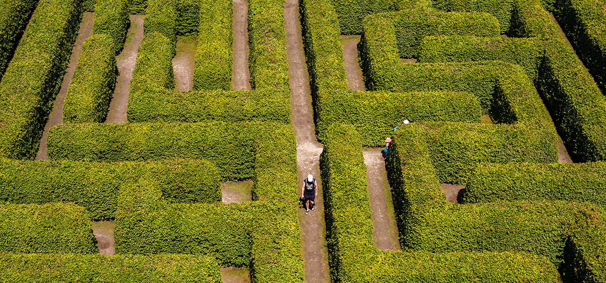 Maze ( Puzzle ) Gardens with Hedges | InstantHedge