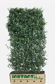 Types of Hedges | Buy Hedges Online at InstantHedge