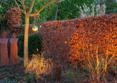 Types of Hedges | Buy Hedges Online at InstantHedge