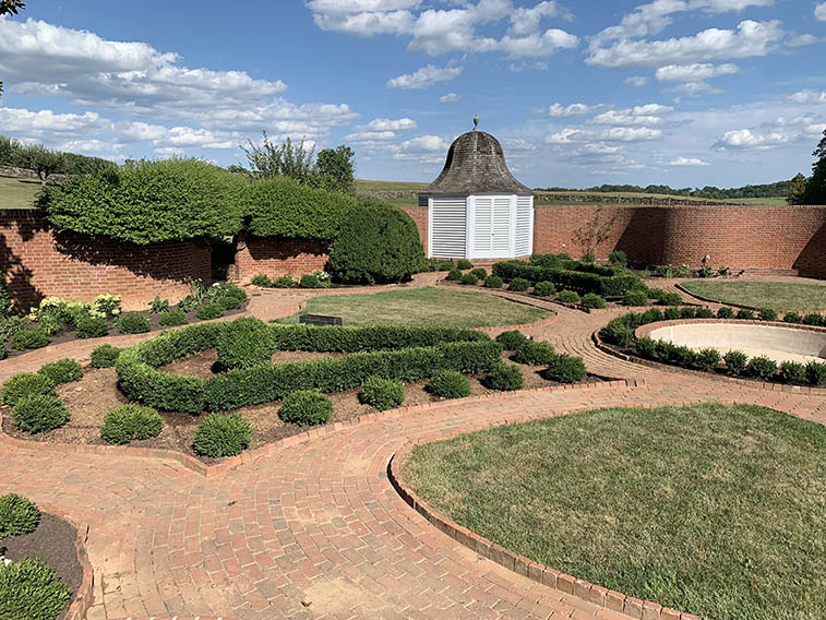August 2019 - Virginia - InstantHedge - Privacy Hedges for Your Garden