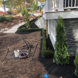 October 2019 - Maine - InstantHedge - Privacy Hedges for Your Garden